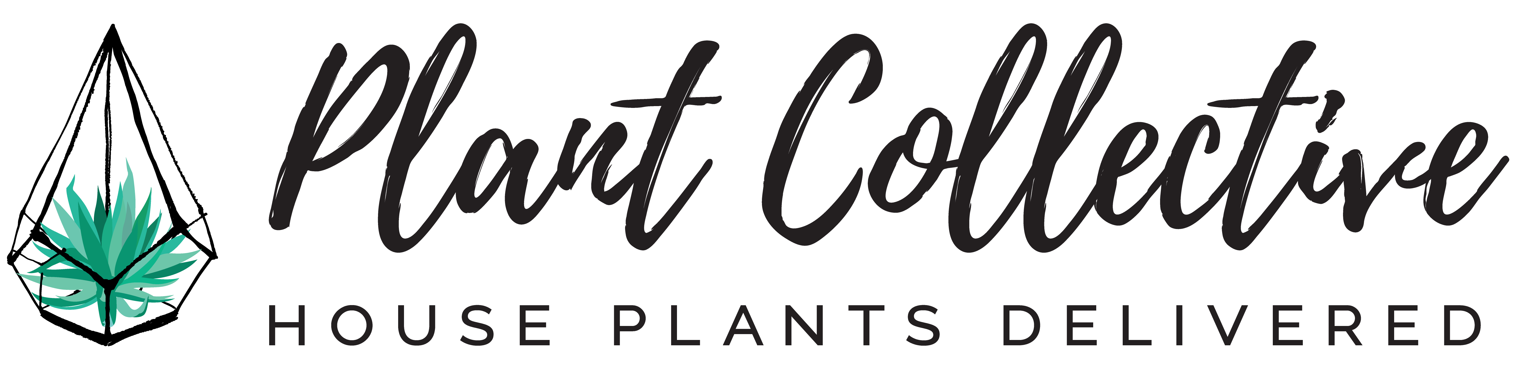 How Do I Check The Status Of My Order Plant Collective