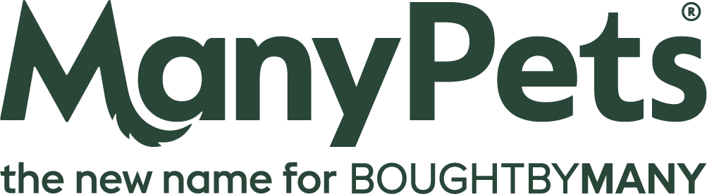 Contact Us – Health UK