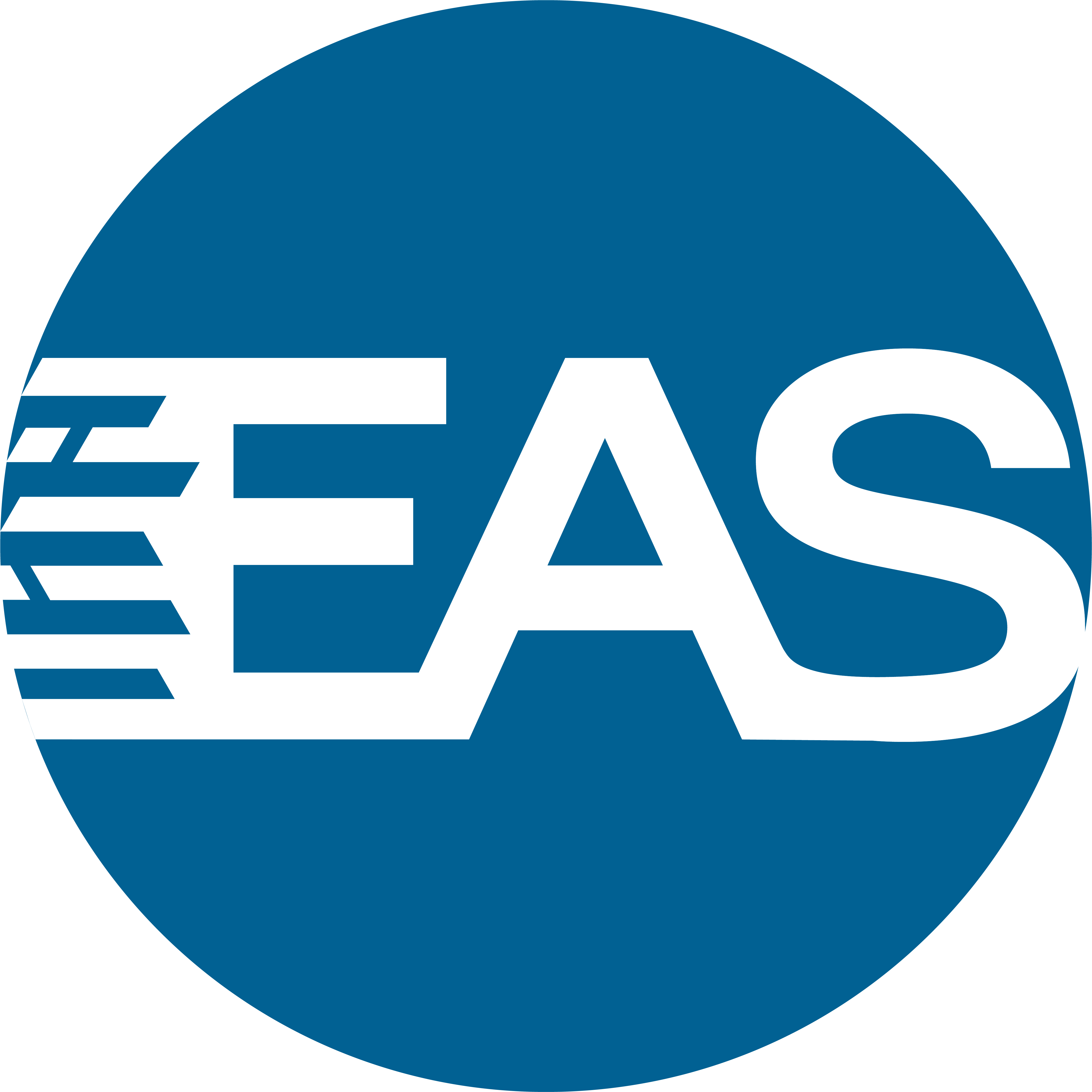 Assisted Installation EAS Project
