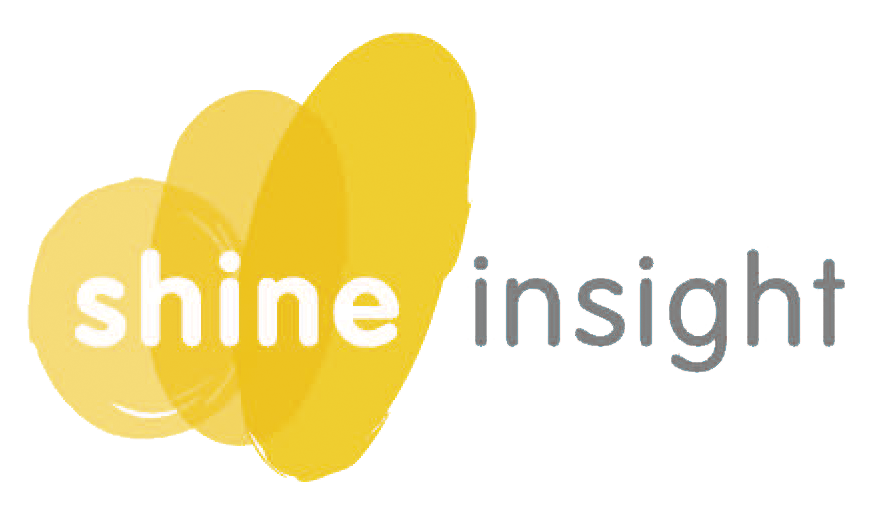 Login and Navigation – Shine Insight