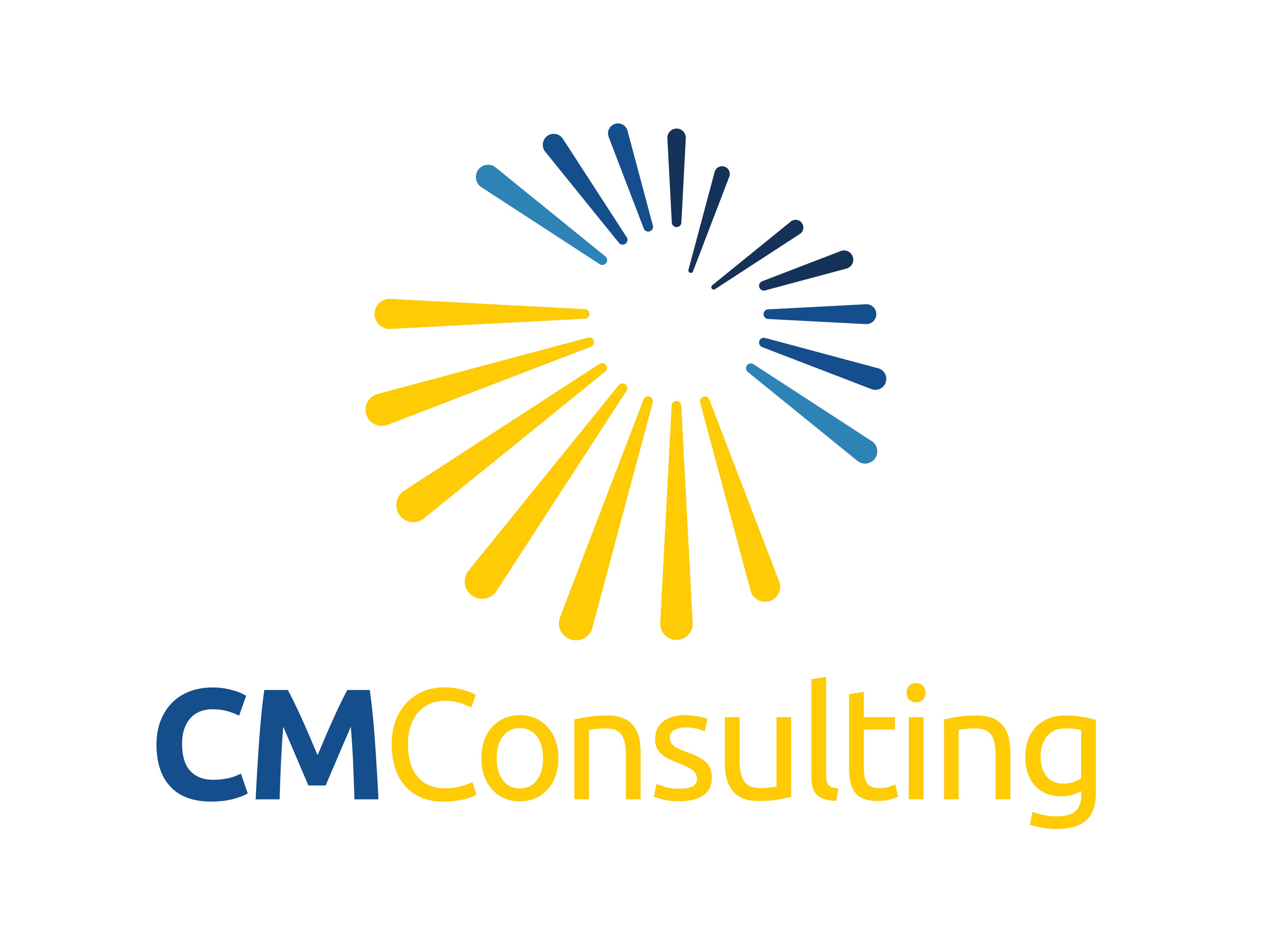 CM CONSULTING