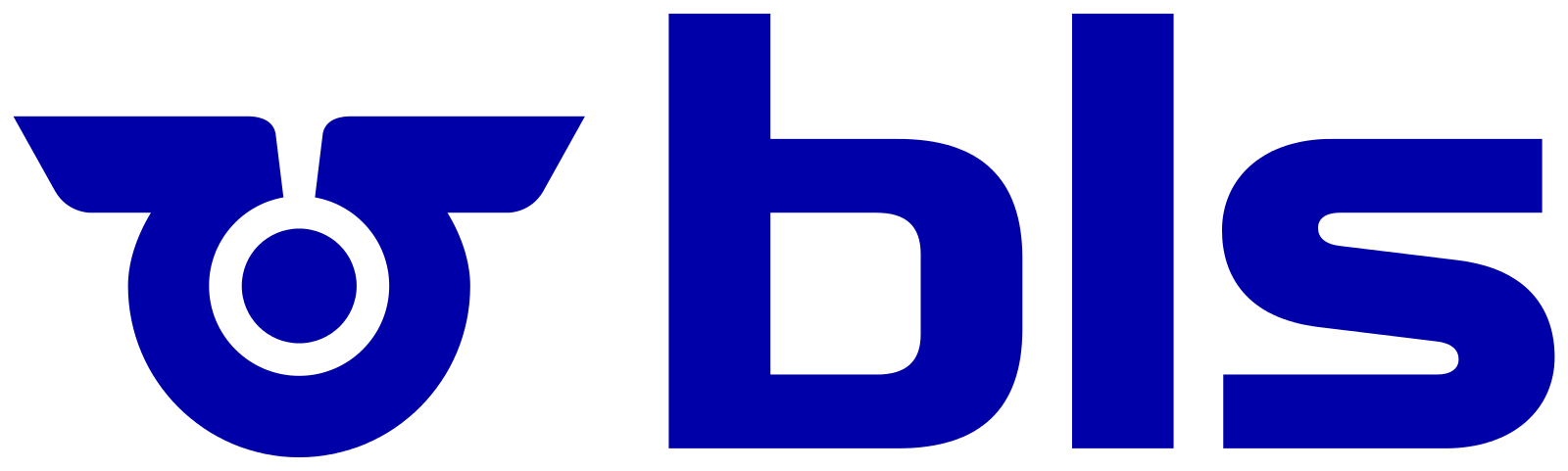 Which vehicles can be transported? | Maximum height and width BLS car ...