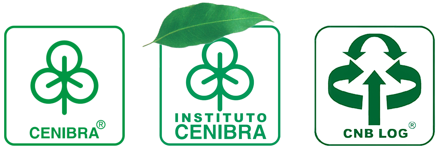 CENIBRA